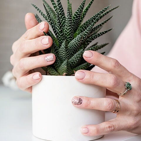 Blanc Nail Lounge Raleigh | Best Nail Spa